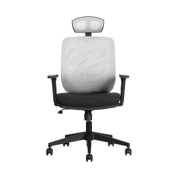 【存在音樂】Eagle Pro™ 工學椅｜老鷹升級款 免運 獨家優惠 wavebone / backbone | 蝦皮購物