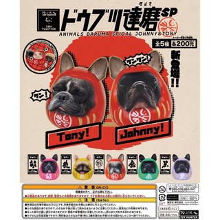 扭蛋 轉蛋 第4代 當我們ㄍㄡ在一起 第一代 Dog Together Kui 柴犬 法鬥達摩 犬 盒玩 達摩犬 達摩狗 | 蝦皮購物