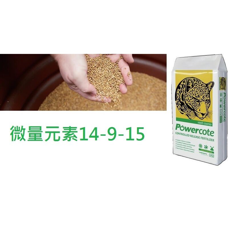 【全館590免運】PowerCote綠豹全包衣控釋肥14-9-15-2Mg-TE～300公克(多肉仙人掌)【蒔花弄草】 | 蝦皮購物