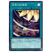 【卡の家】遊戲王 DBAG-JP010 溟界的蛇睡蓮 (亮面) | 蝦皮購物