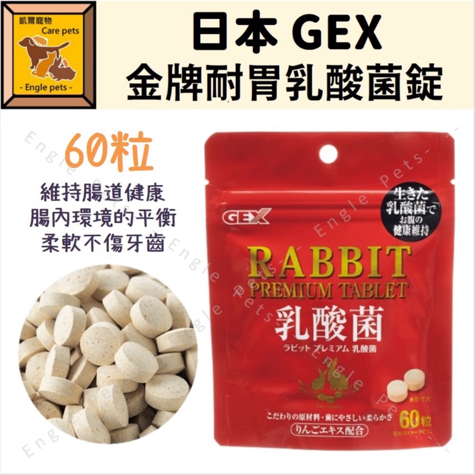 ╟Engle╢ gex 金牌耐胃乳酸菌錠 60粒 65798 乳酸菌 兔 腸胃保健 寵物保健品 | 蝦皮購物