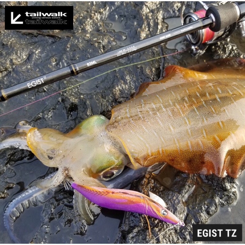 Tailwalk EGIST TZ 軟絲竿 軟絲旅竿 海水路亞竿 多節旅竿【小蝦米釣具】 | 蝦皮購物