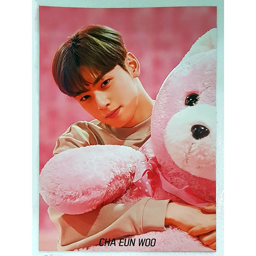 Kpop Cha Eun Woo Photo Poster 10 Goods Kdrama True Beauty | 蝦皮購物