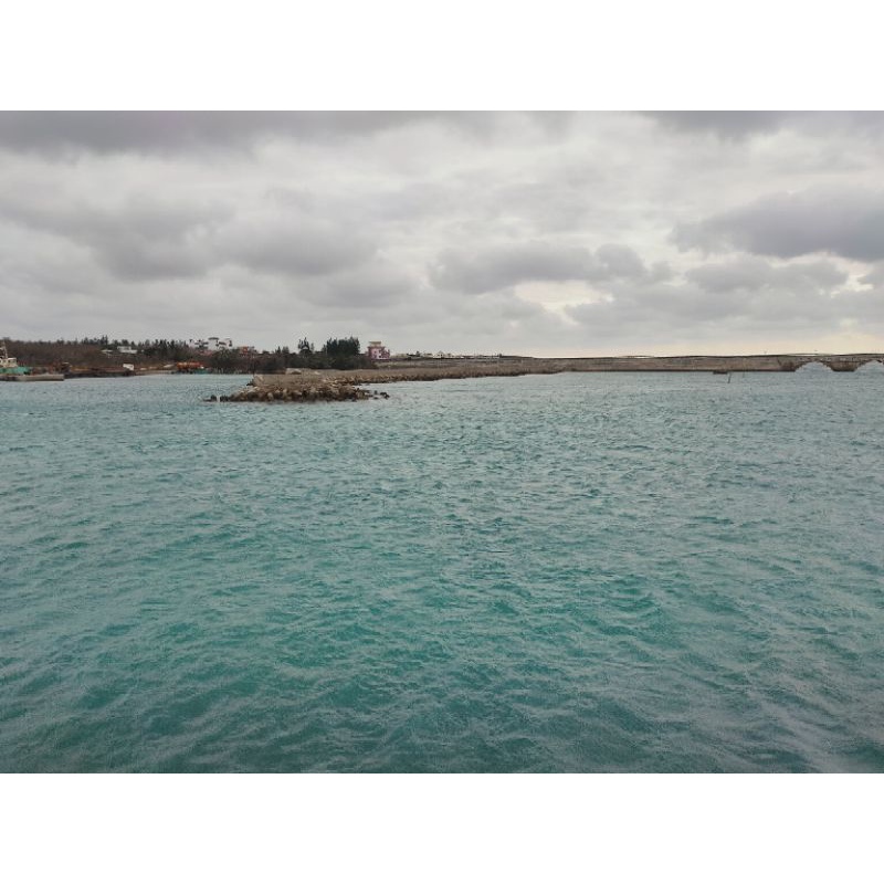 DASABI-🌊海水🌊 經過濾乾淨海水 1公升 超取最多四份 | 蝦皮購物