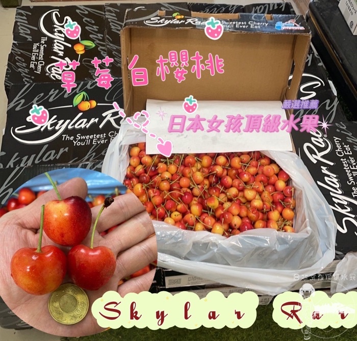 史上最甜白櫻桃~稀有品種8.5or超大規格-Skylar Rae草莓白櫻桃🇺🇸美國空運白櫻桃 禮盒櫻桃 頂級限量 | 蝦皮購物