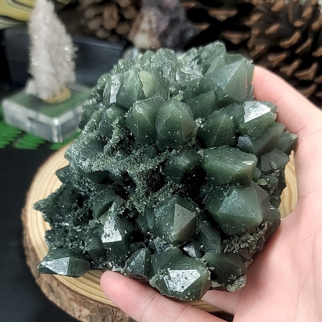 ．艾莉希亞寶石水晶．28內蒙古綠水晶 Prasem Quartz 內蒙綠水晶 綠水晶簇 水晶簇 水晶柱 | 蝦皮購物