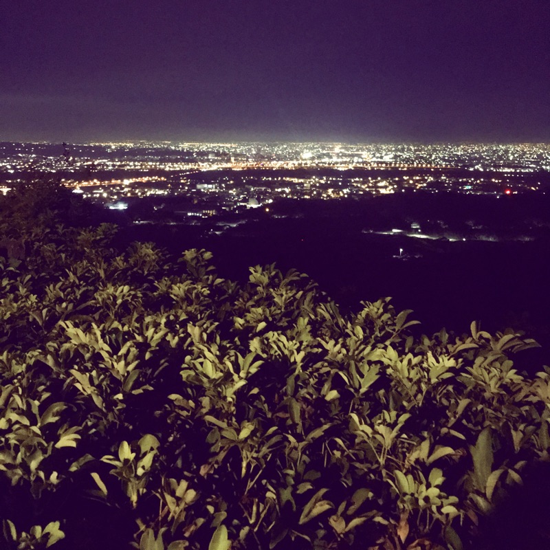 YGO OCG 遊戲王 DBJH-JP022 美味獸★捕爪 (金亮) | 蝦皮購物