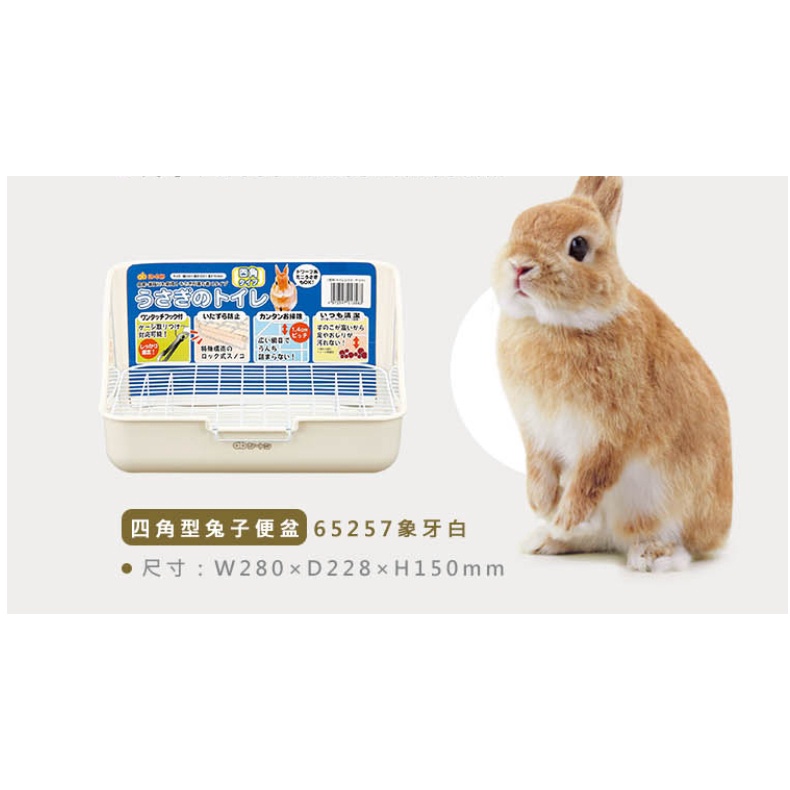 領券免運 《胖頭龍批發工廠》GEX 65257 ab-785 四角型兔子便盆 兔便盆 小動物廁所 便盆 兔子 龍貓 | 蝦皮購物