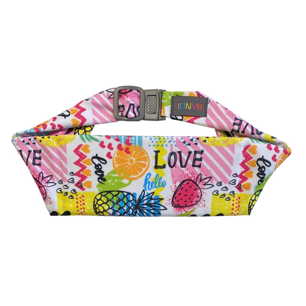 BANDI Kids Pocketed Belt(美製). 兒童,青少年腰包(雙口袋),運動,旅行.跑步,逛街.小鐵人. | 蝦皮購物