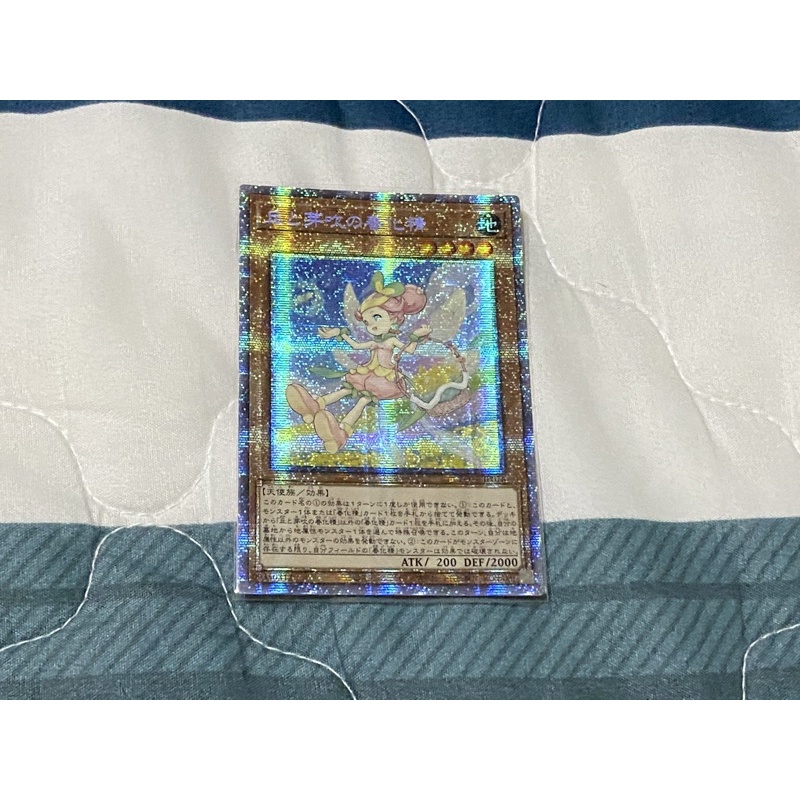 遊戲王 POTE-JP016 丘與發芽的春化精 白鑽 | 蝦皮購物