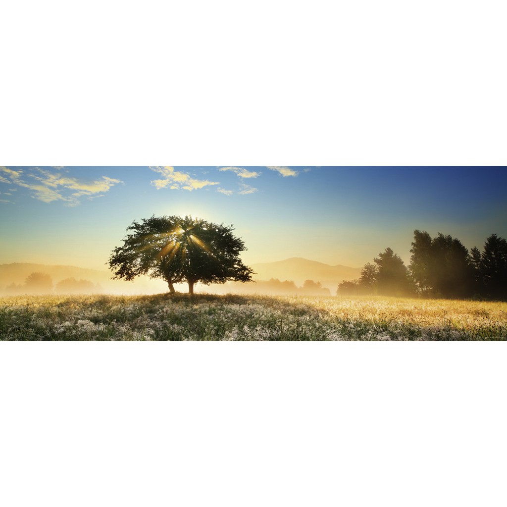 歐美進口拼圖HEYE（德國）/1000片/洪堡版-輕型遊戲 | 蝦皮購物