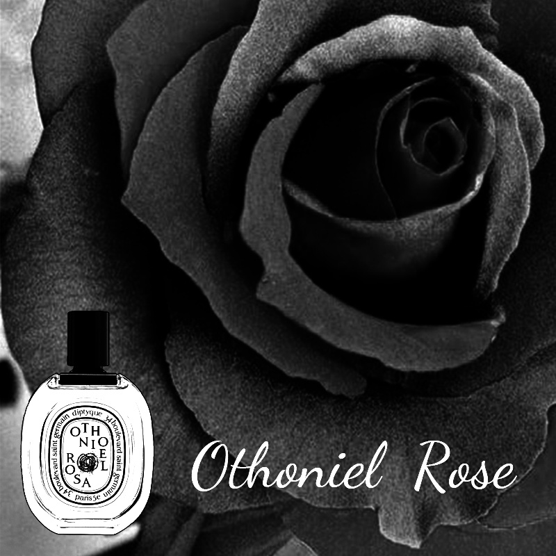 絕版香 奧索尼爾玫瑰 蒂普提克 Diptyque Othoniel Rosa 每單限購一份 | 蝦皮購物