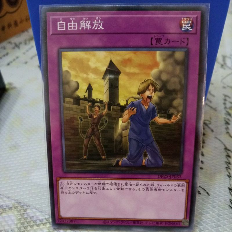 遊戲王 自由解放(普卡) DP25-JP033 | 蝦皮購物