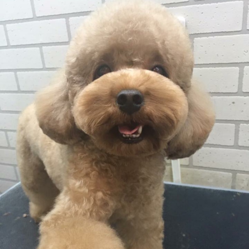 【派克 Parker 】現貨出清：UQD/UQD02 series 母端接頭UQD-121-4PL | 蝦皮購物