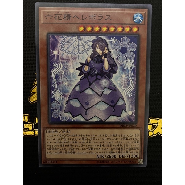 💯擦邊球卡鋪💯 遊戲王DBSS-JP020 六花精聖誕玫瑰 (普卡) | 蝦皮購物