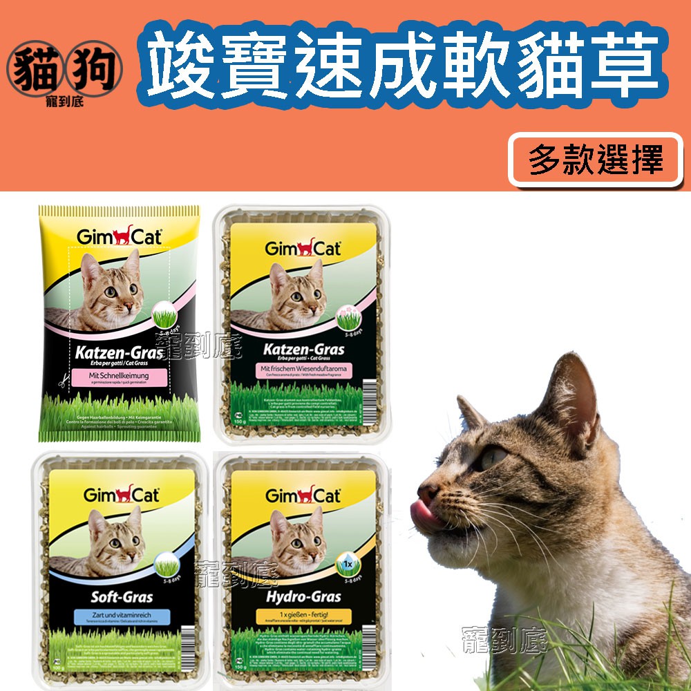 寵到底-德國竣寶GIMBORN種植貓草(盒裝) 貓草 貓零食 貓草種植 速成貓草 胚芽貓草 | 蝦皮購物