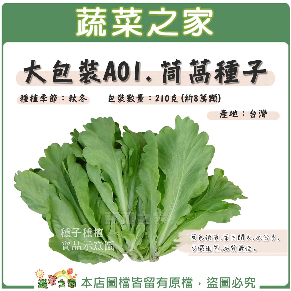 蔬菜之家滿額免運【00A01】大包裝.茼蒿種子210克(約8萬顆) | 蝦皮購物