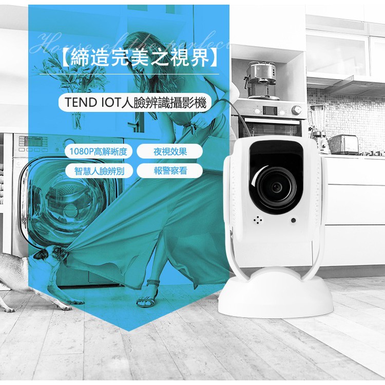 tend Secure Lynx Indoor 人臉辨識 無線監控攝影機 1080P | 蝦皮購物