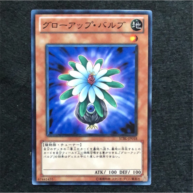 【小夫妻】遊戲王 STBL-JP018 SD32-JP021 GP16-JP001 成長球莖 (普卡/黃金) | 蝦皮購物