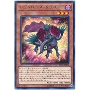 【DCT_緣夢の城】遊戲王 DP21-JP025&DOOD-JPS02 紅薔薇龍 銀字 90-95分 | 蝦皮購物
