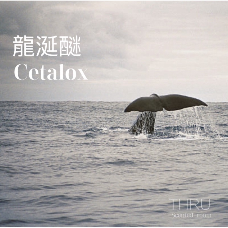 龍涎醚Cetalox®降龍涎香醚 單體調香原料ambroxan固體香水香料 香精香氛手作蠟燭皂材香料 | 蝦皮購物