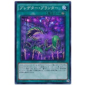 【DCT_緣夢の城】遊戲王 DP22-JP054&SPFE-JP011 捕食花圃 普卡/亮面 90-95分 | 蝦皮購物