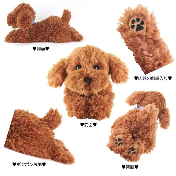 ★刺蝟秘密基地★ 日本 Sunlemon SS 娃娃 玩具貴賓犬 臘腸 柴犬 吉娃娃 狗狗 玩偶 絨毛娃娃 | 蝦皮購物