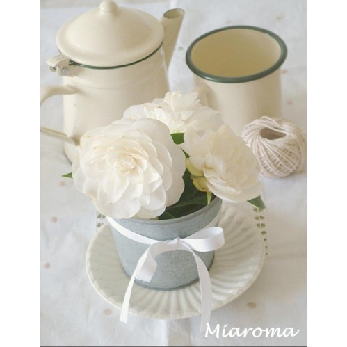 🌜南和月🌛MIAROMA 白茶玫瑰 60克🌹Blane Rose Tea 環保香氛 優雅香氣 牡丹為形茶花為韻 優雅大方 | 蝦皮購物