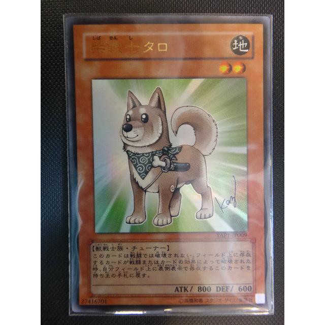 [福順遊戲卡鋪] 現貨 遊戲王 YAP1 十週年紀念黑包 YAP1-JP009 柴戰士太郎 金亮 | 蝦皮購物