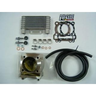RRGS 66mm 油冷排汽缸組 勁戰 BWSR BWS 125 GTR 四代勁戰 新勁戰 引擎 改缸 | 蝦皮購物