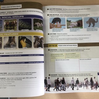 SUMMIT 1 third edition | 蝦皮購物