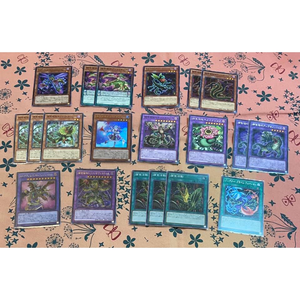 遊戲王 DP22-JP053 捕食植物 豹皮花龍 DP22-JP047 捕食活動 捕食植物套組 代友販售 | 蝦皮購物