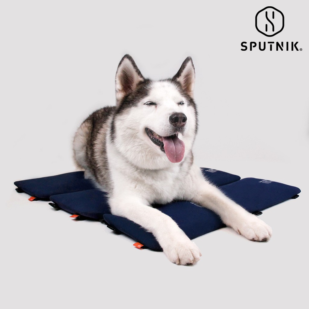 艾爾發寵物 | SPUTNIK 斯普尼克 Explore 寵物機能涼墊 寵物睡墊 藍 | 蝦皮購物