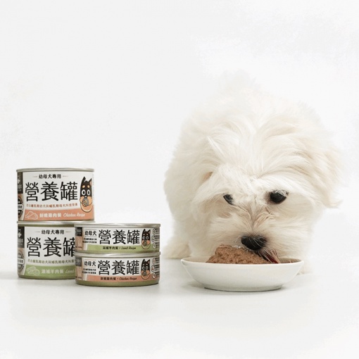 汪喵星球 幼犬 95% 營養無膠主食罐 80g 165g 狗罐 無膠 幼母犬 全口味 | 蝦皮購物