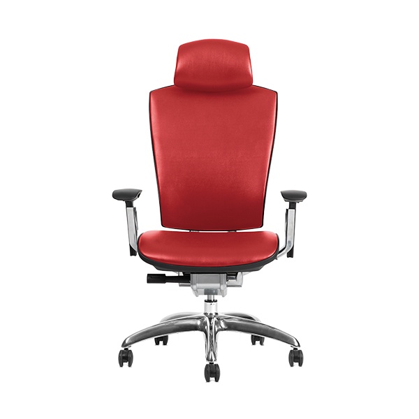 【存在音樂】Whale 抹香鯨座 人體工學旗艦椅 免運 獨家優惠 wavebone / backbone | 蝦皮購物