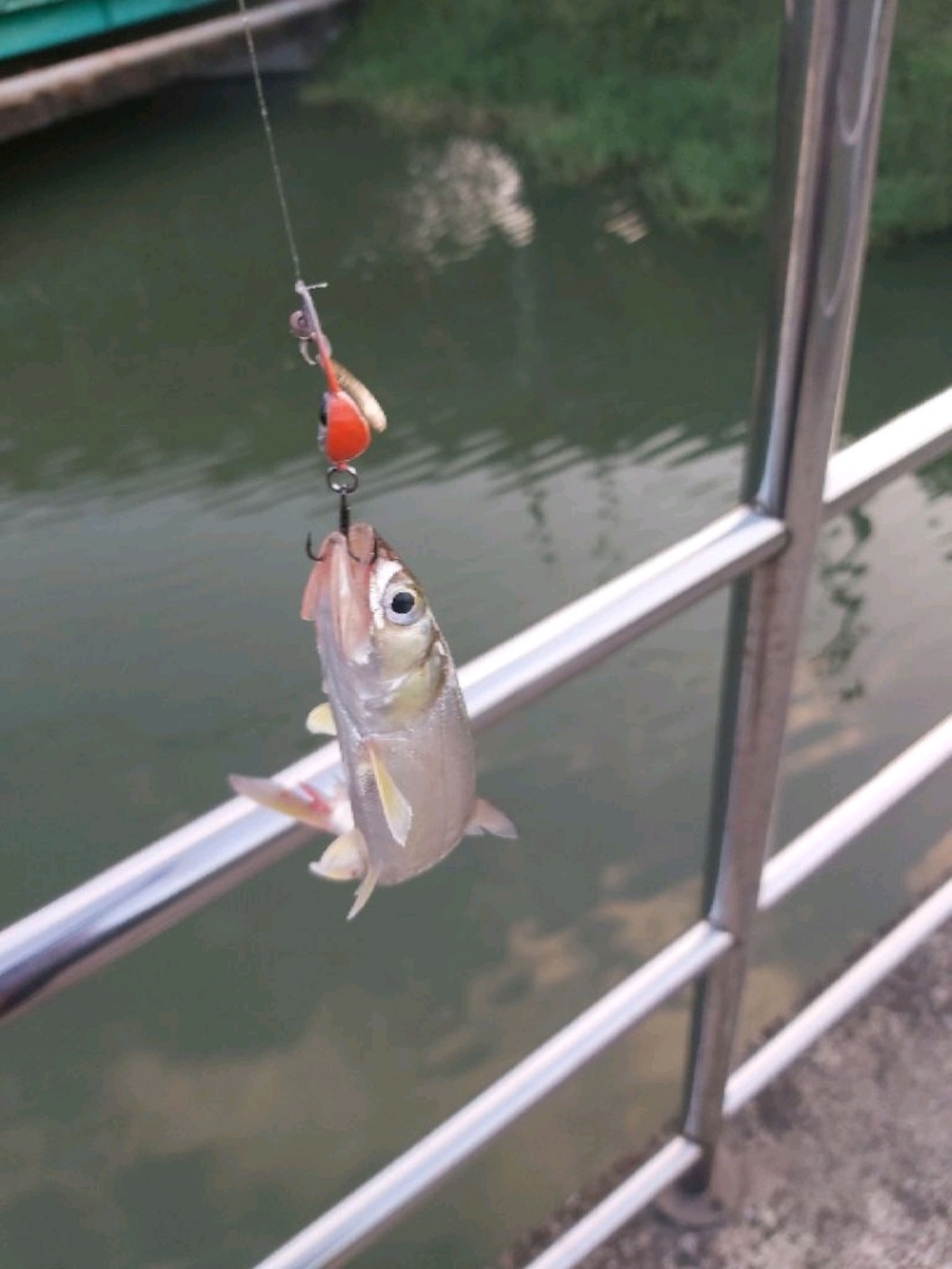 【LUZ路亞】【現貨】迷你 複合式旋轉亮片 spinnerbait 小爆星 路亞假餌 亮片假餌 根魚 馬口 顫泳 VIB | 蝦皮購物