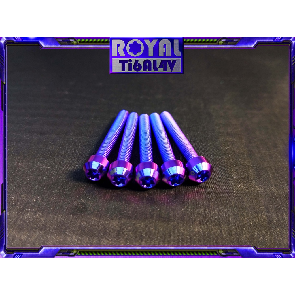 【瘋螺絲】ROYAL鈦合金螺絲★M5*35B P0.8 64正鈦螺絲★CNC鍛造內梅花.內星型螺絲★皇家紫 | 蝦皮購物