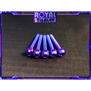 【瘋螺絲】ROYAL鈦合金螺絲★M5*35B P0.8 64正鈦螺絲★CNC鍛造內梅花.內星型螺絲★皇家紫 | 蝦皮購物