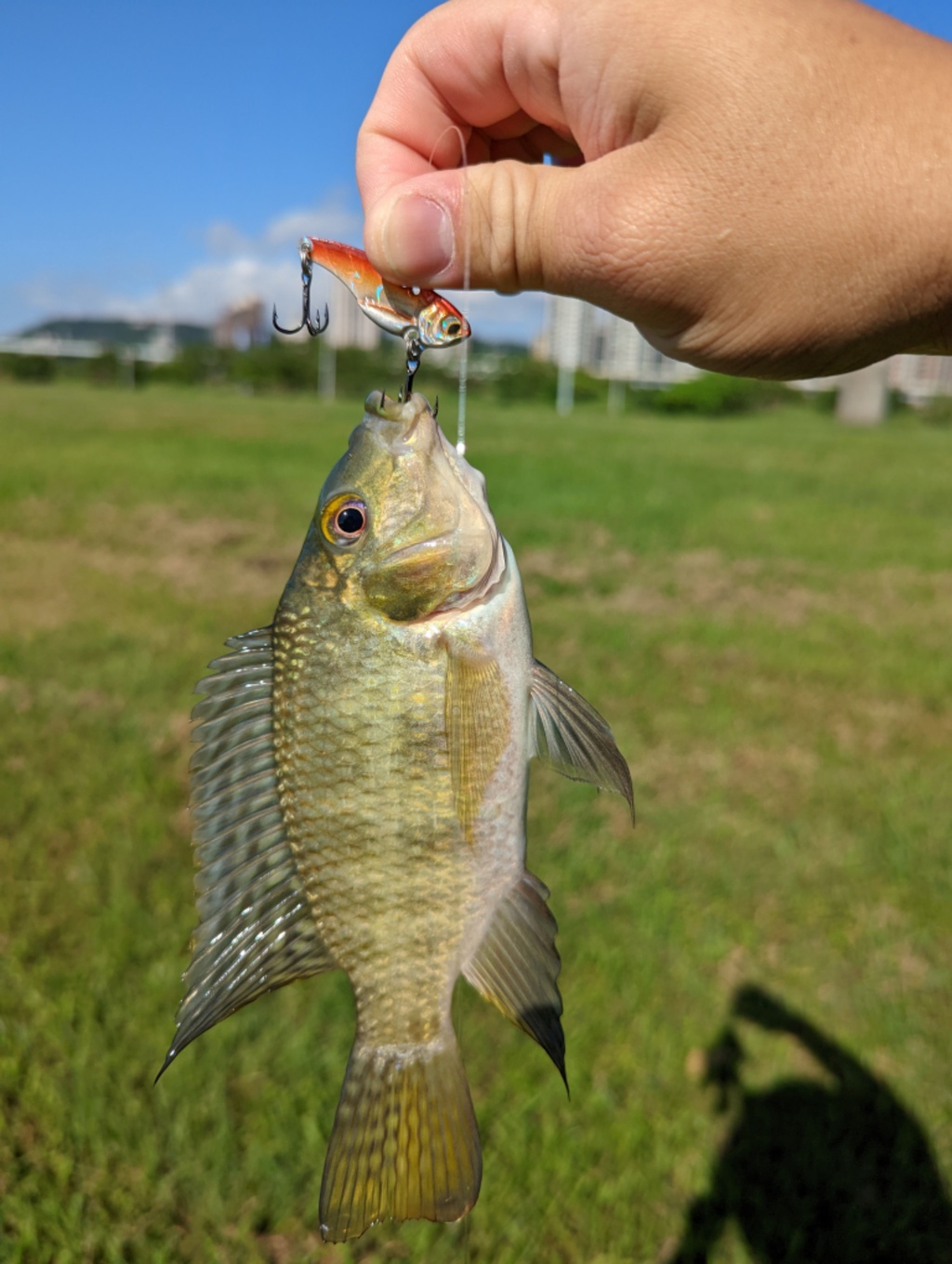 【LUZ路亞】【現貨】戰神VIB（5g／7g／10g／15g）金屬顫泳 路亞三叉鉤 路亞假餌 假餌 路亞軟蟲 假餌 | 蝦皮購物