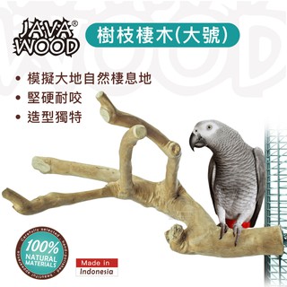 【大鸚帝國】美國爪哇JAVA WOOD / 樹枝棲木(大號) / 天然咖啡木 樹枝 鸚鵡棲木 鸚鵡站棒 鳥站棒 鳥棲木 | 蝦皮購物