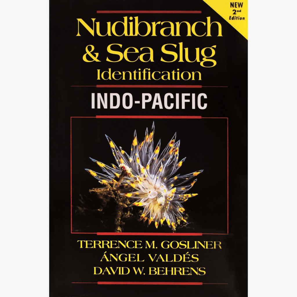 {EZDIVE} Nudibranch&Sea Slug Identification-Indo-Pacific | 蝦皮購物