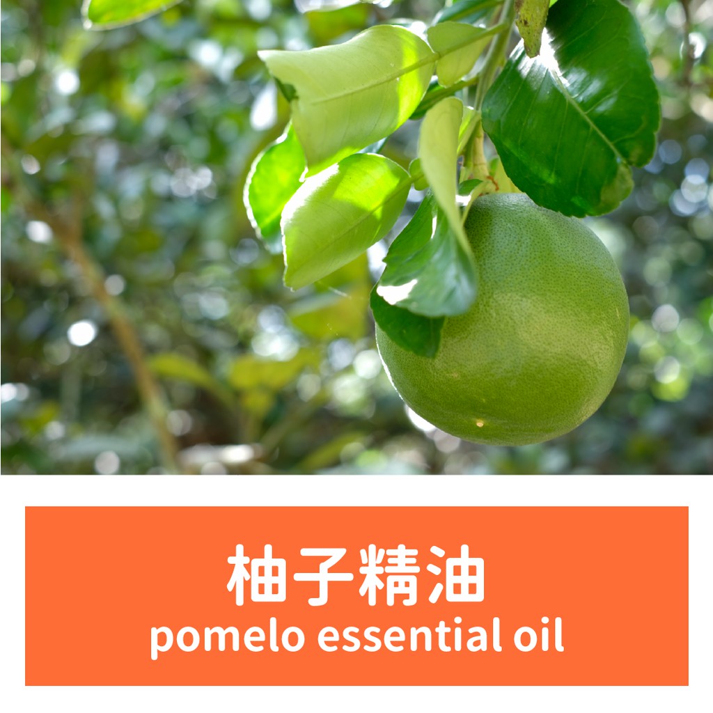【馥靖精油】柚子精油 pomelo essential oil 清新柚子香味🍋 | 蝦皮購物
