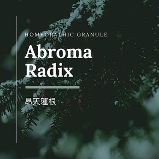 順勢糖球【昂天蓮根Abroma Radix】女性內在的疏通開展Homeopathic Granule 食在自在心空間 | 蝦皮購物
