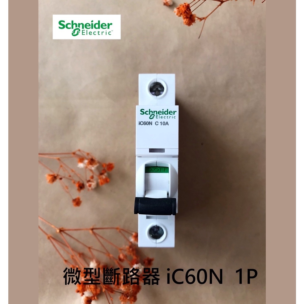 Schneider施耐德 Acti9系列 iC60N 1P 微型斷路器、小型斷路器、迴路保護器 (現貨、快速出貨) | 蝦皮購物