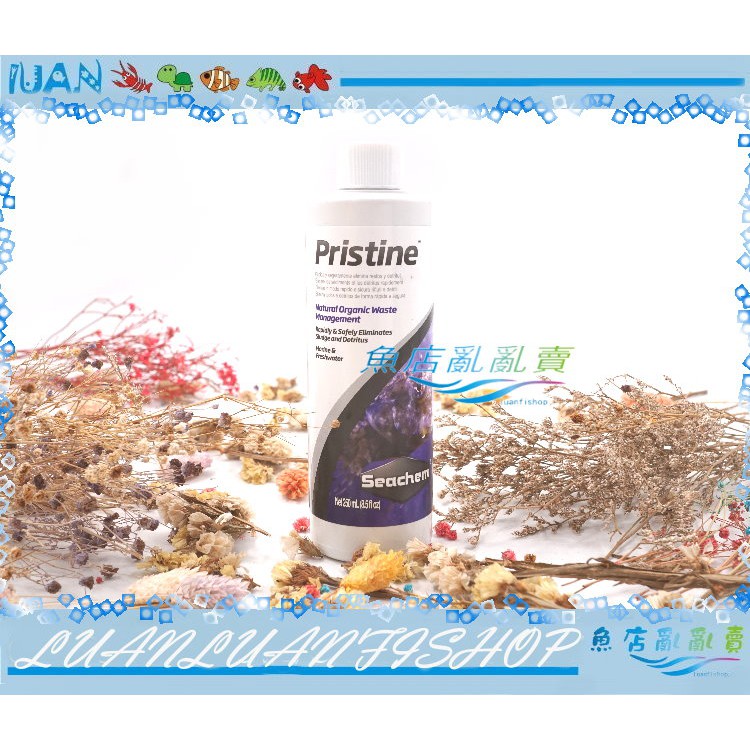 【魚店亂亂賣】Seachem西肯底床污泥250ml / 有機物分解劑(水質淨水除毒)N-1241美國Pristine | 蝦皮購物