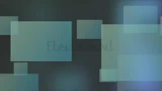 [士東工具]EBISU DIAMOND惠比壽 水晶式水平尺 ED-10CL ED-10CLS | 蝦皮購物