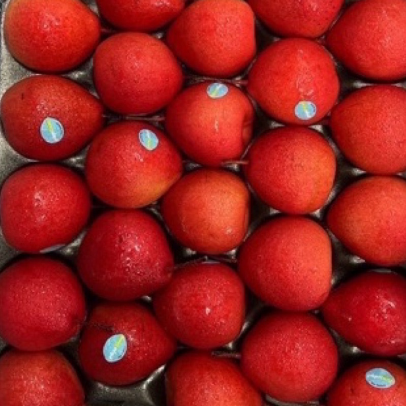 紐西蘭Piqa boo紅啤梨 】原裝 7kg | 蝦皮購物