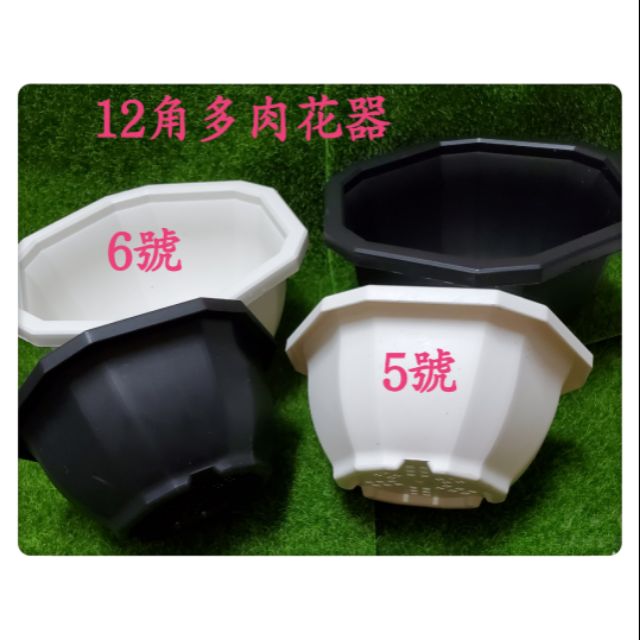 【弘藝園藝】多肉12角淺型花 盆5號、6號盆（白、黑2色） | 蝦皮購物