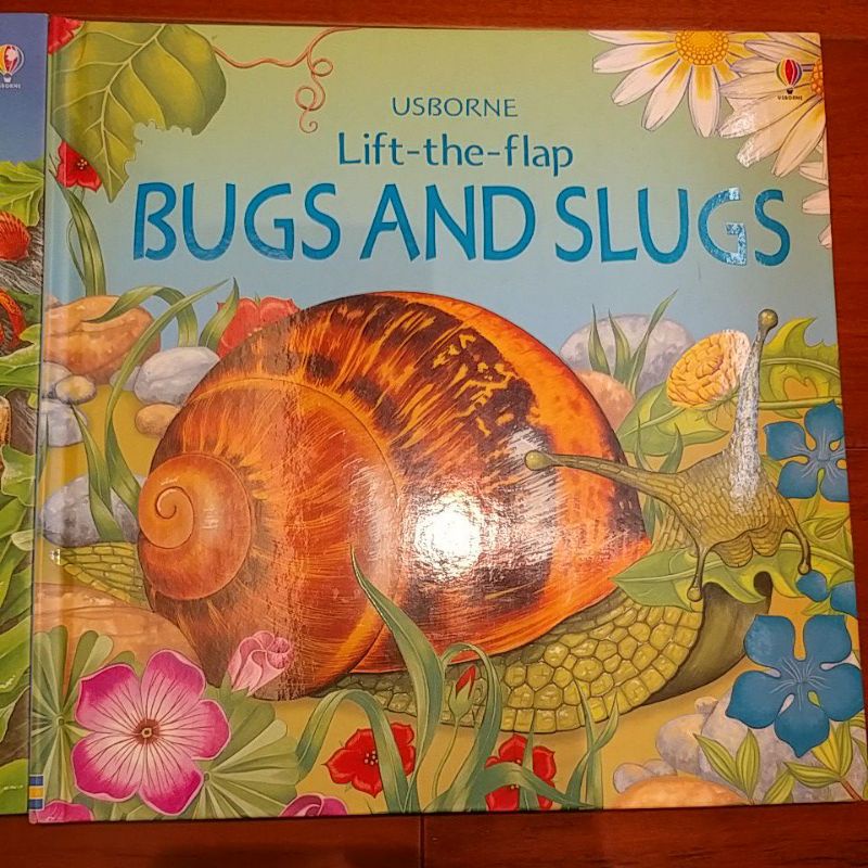 翻翻書 On the beach/ Bugs and slugs USBORNE 兩本合售 | 蝦皮購物