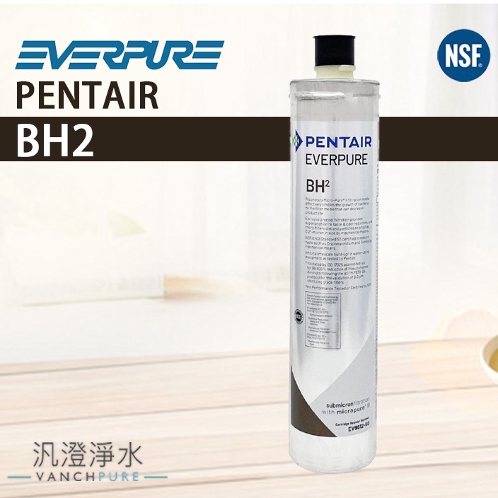 【汎澄淨水】 愛惠普 EVERPURE BH2 濾心 可取代S100 S104 H104 H100 平輸品 | 蝦皮購物